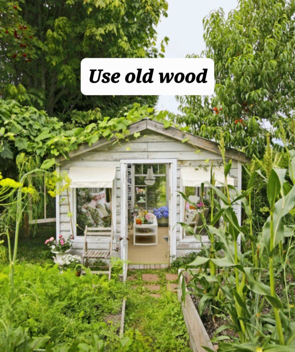 She Shack | Living Abroad